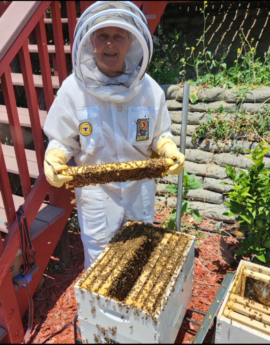 Urban beekeeper Charlene Potter | Business Spotlight
